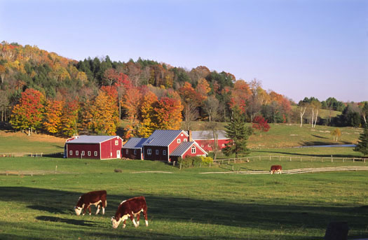 Free Guides - Countryside